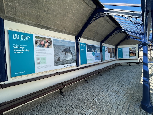 Ark Digital Printing | ARK Display